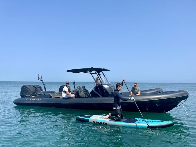 PRIME Series - Rigid Inflatable Boats - Ribeye Boats